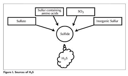 Proses produksi H2S – Bisakimia