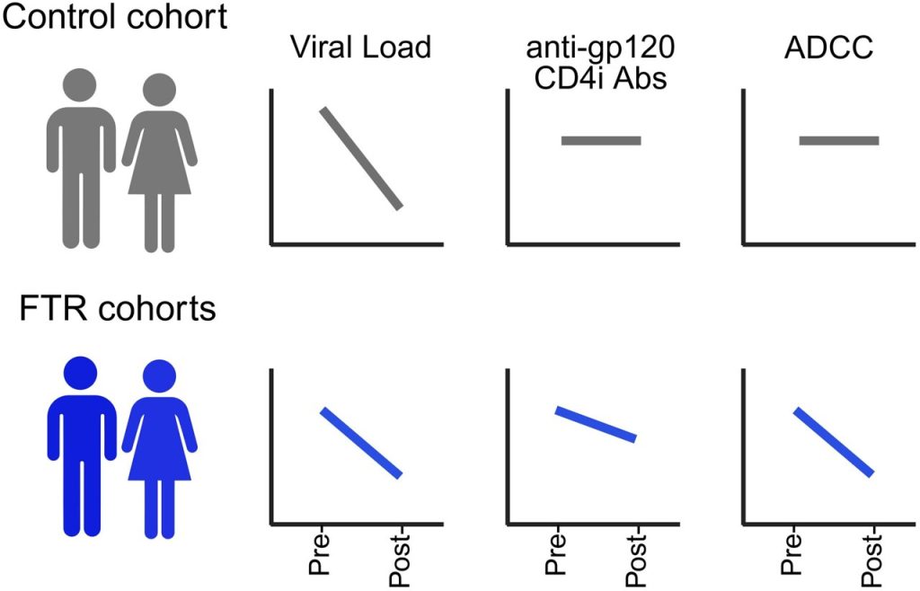 Temuan mengenai molekul HIV yang beracun membuka jalan bagi uji coba ...